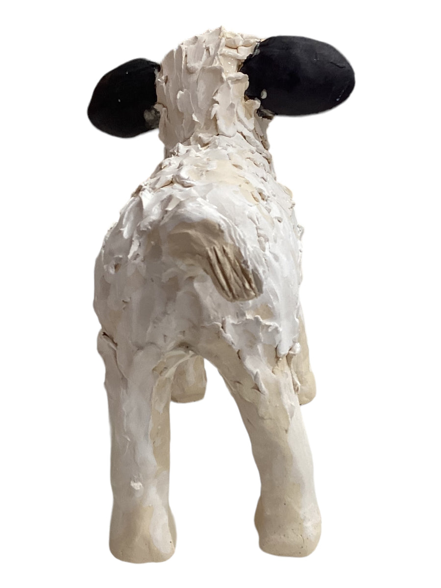 Sheep Standing – Wild Oats & Billy Goats NSB