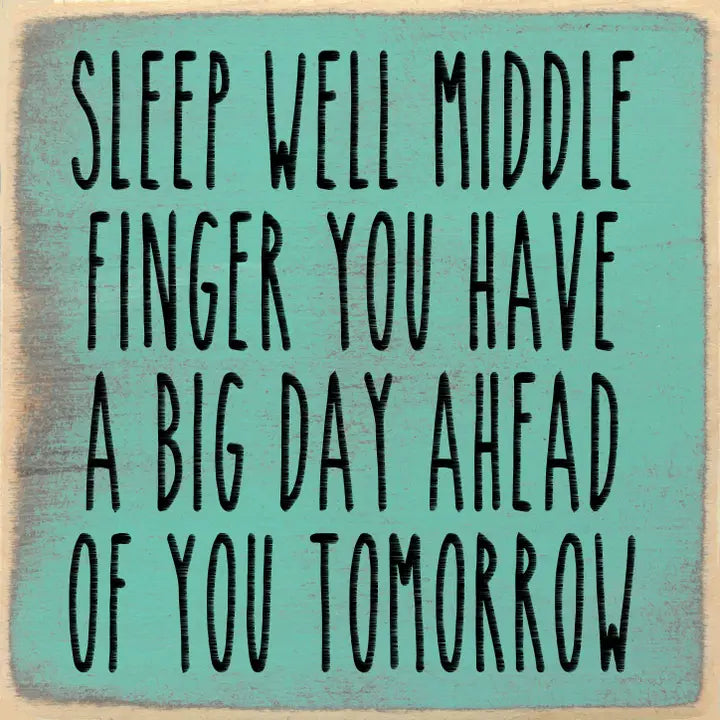 5" x 5" Wooden Block Sign - Sleep Well – Wild Oats & Billy Goats NSB
