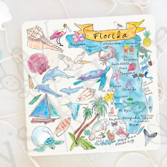 Water Absorbent Stone Coaster - Florida Map – Wild Oats & Billy Goats NSB