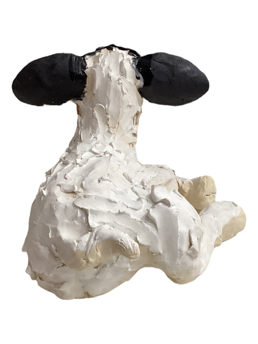 Sheep Laying – Wild Oats & Billy Goats NSB