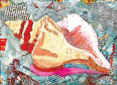 Conch Shell - Notecard – Wild Oats & Billy Goats NSB