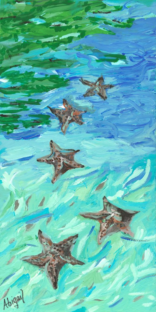 Starfish - Note Card – Wild Oats & Billy Goats NSB